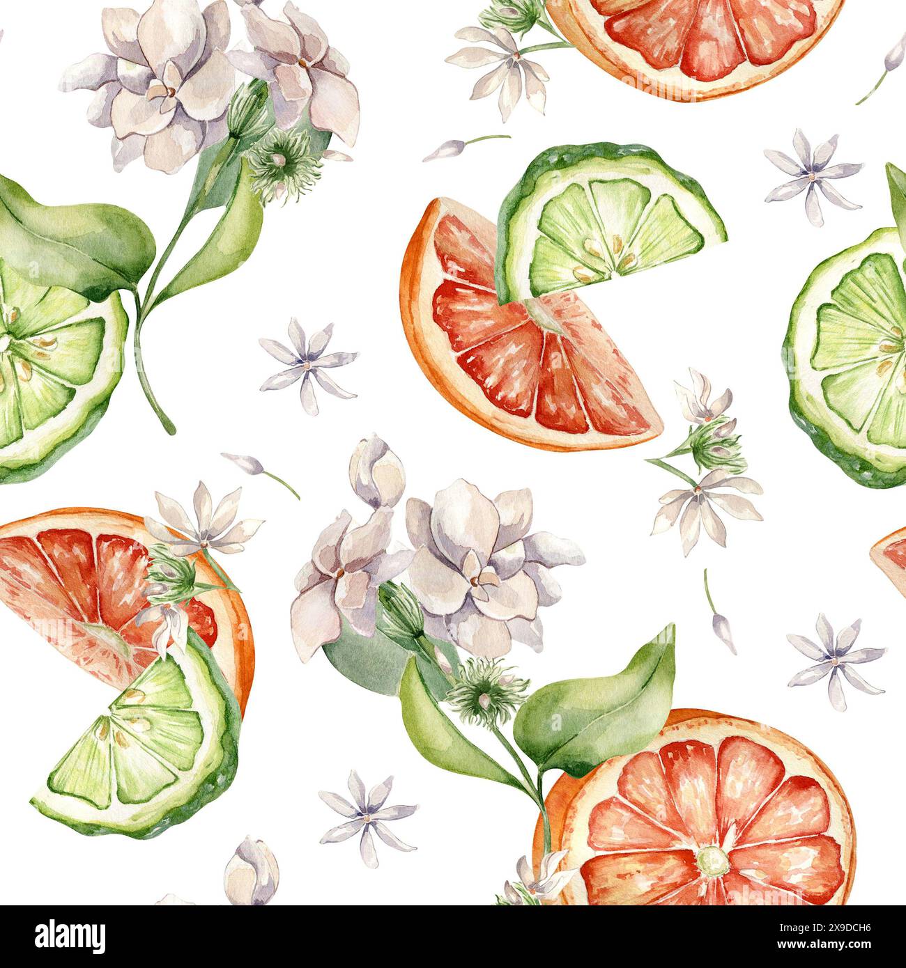 Half bergamot and orange watercolor seamless pattern isolated. Citrus slices and jasmine plants ...
