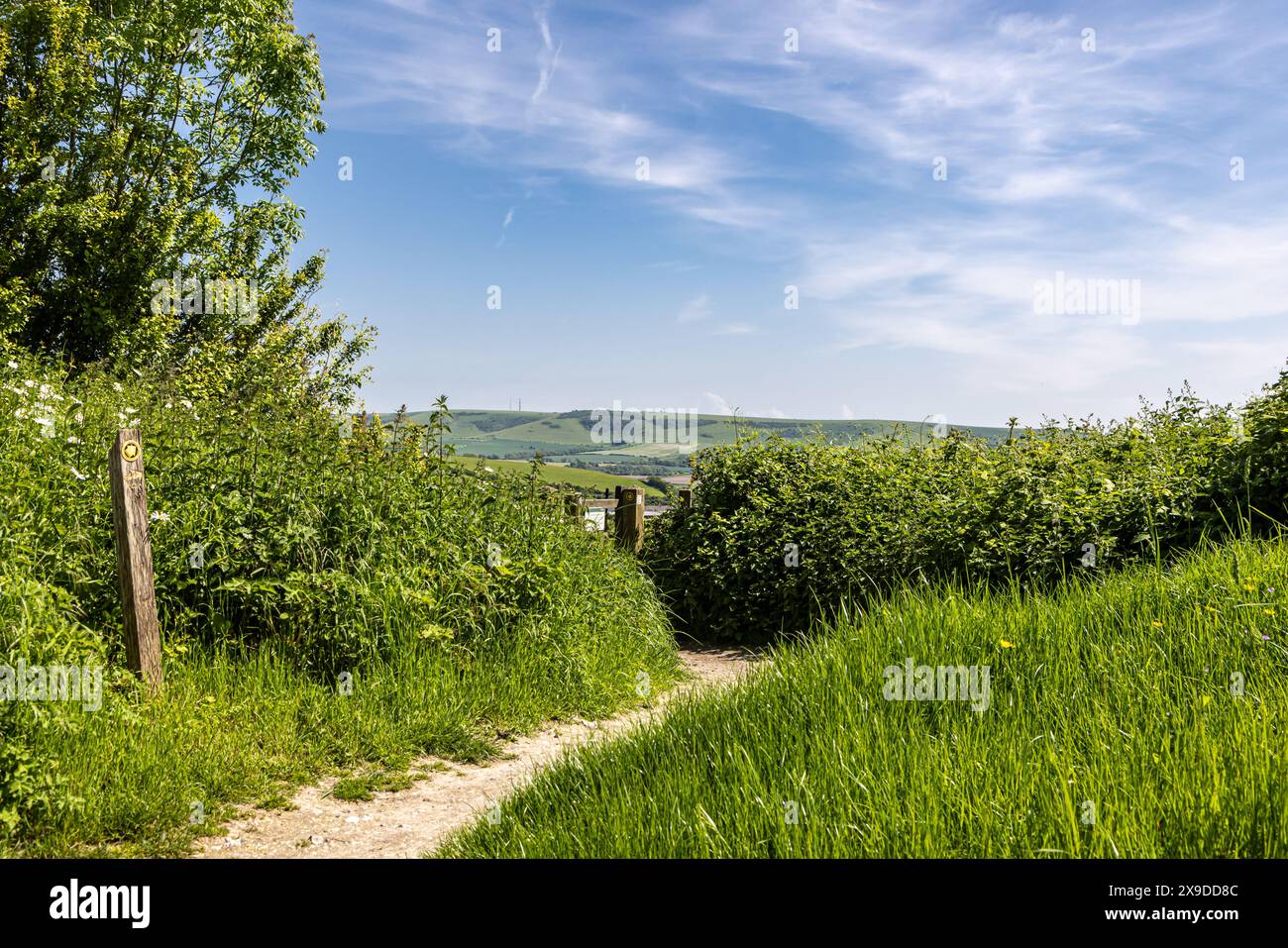 A pathway leading to Mount Caburn near Lewes, with a blue sky overhead ...