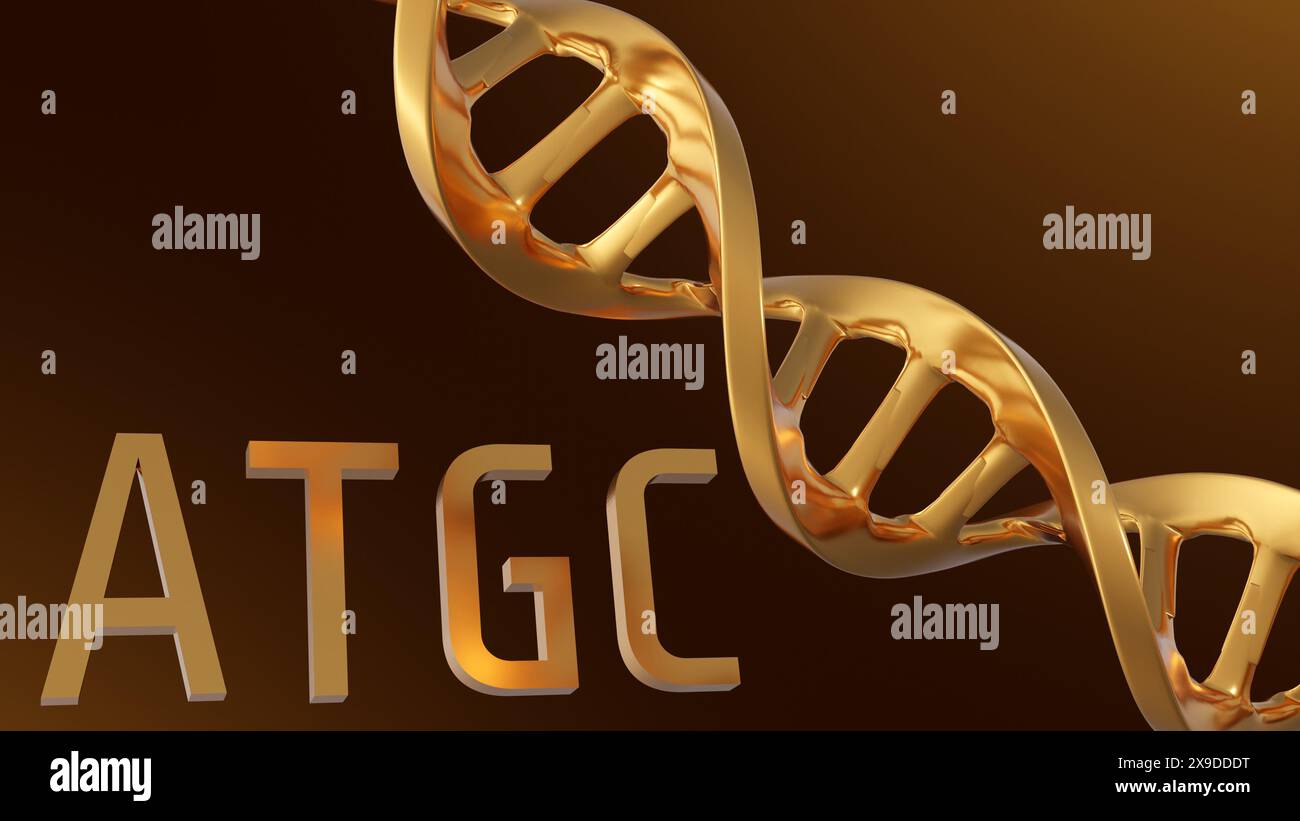 Adenine guanine cytosine thymine hi-res stock photography and images ...