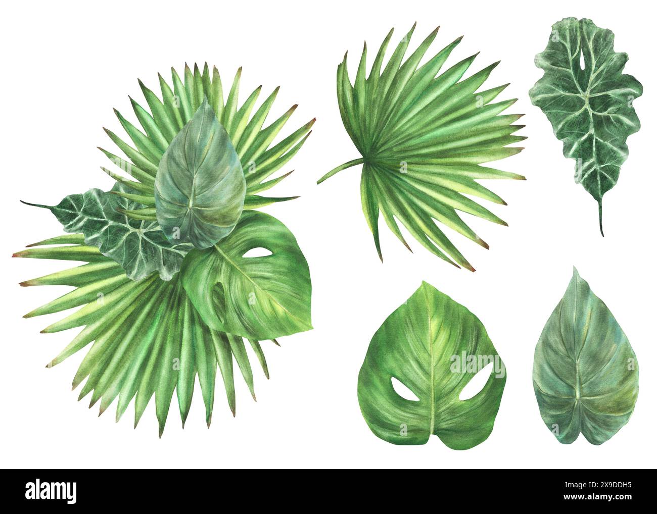 Bouquet of tropical green leaves, exotic home plant watercolor set ...