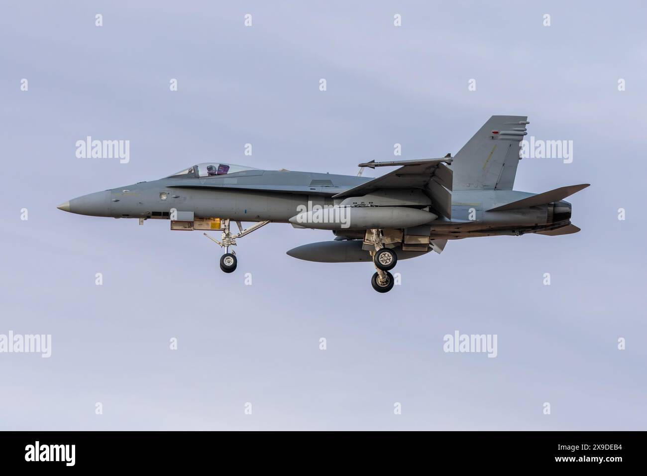 F-18 Hornet fighter plane Stock Photo - Alamy