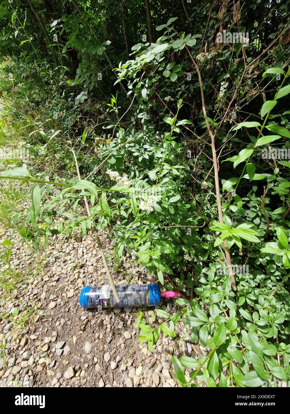 Abandoned NO2 gaz can, Bron, Rhone, AURA Region, France Stock Photo - Alamy