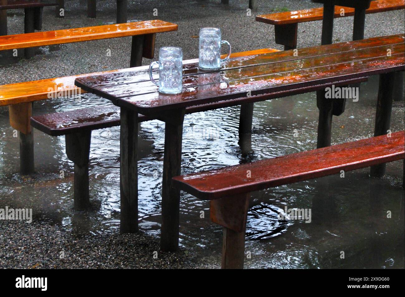München, Wetter, Regen, Regenschirm, Dauerregen, Starkregen, Unwetter ...