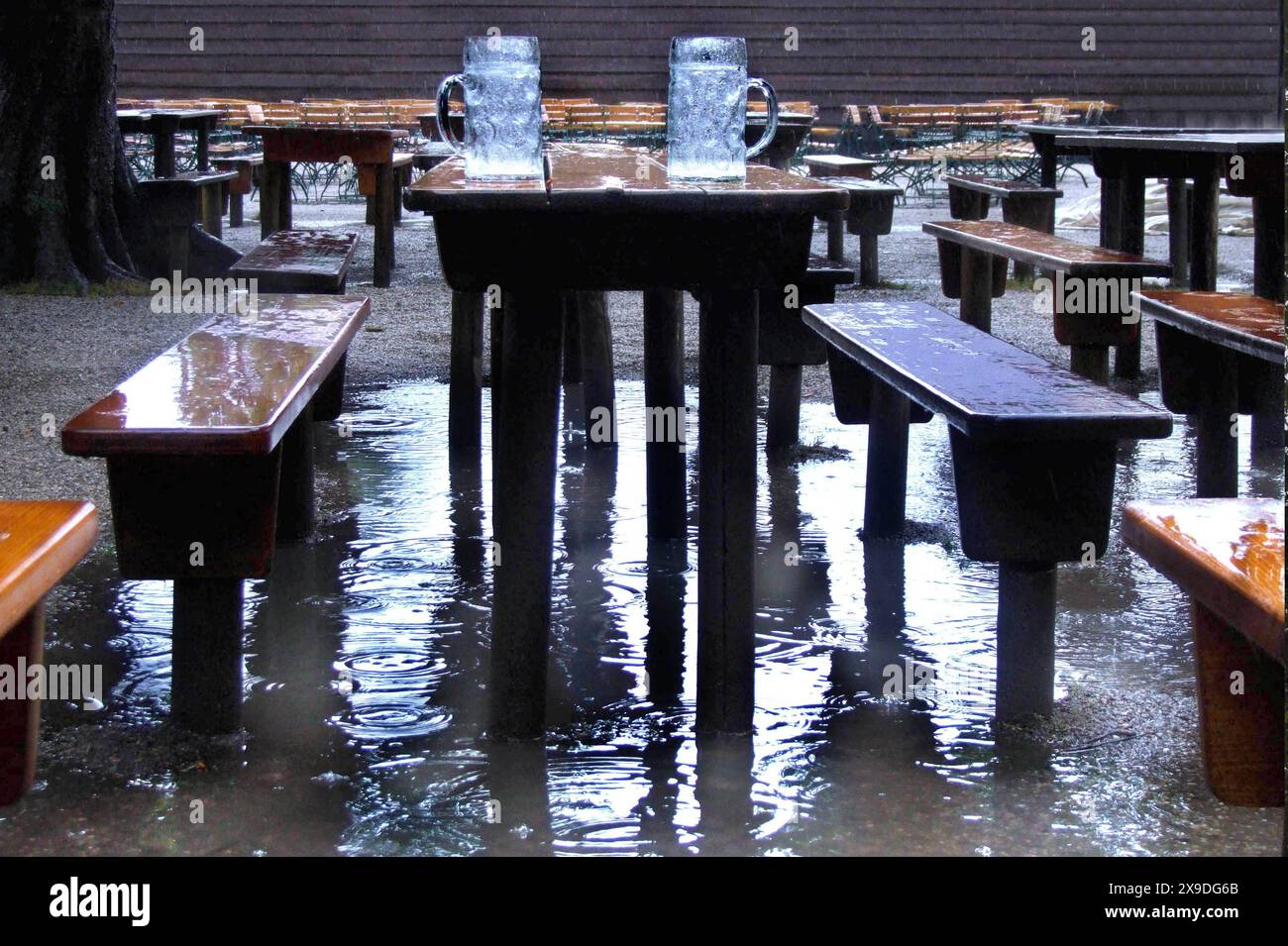 München, Wetter, Regen, Regenschirm, Dauerregen, Starkregen, Unwetter ...