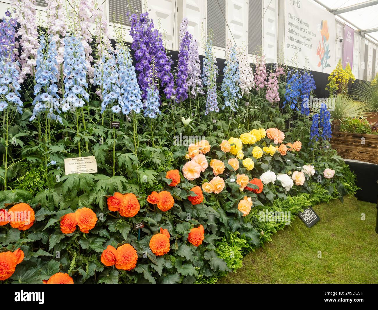 Flower display at Chelsea Flower Show Stock Photo - Alamy
