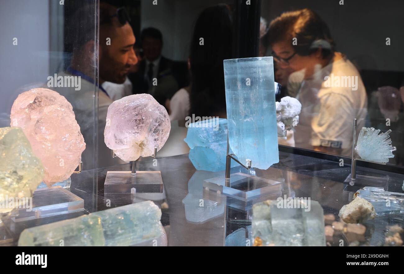 The 2nd China (Nanjing) International Mineral Gemstone & Fossil Expo ...