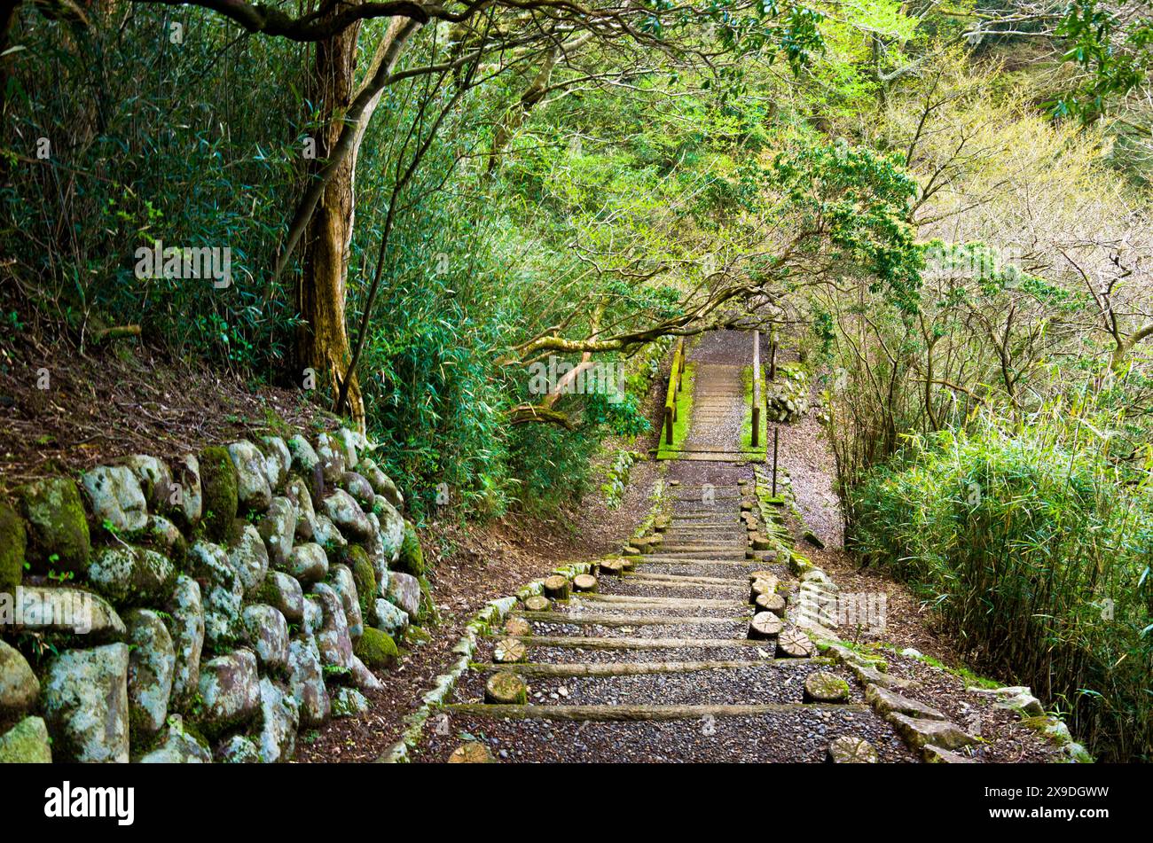 Hakone Nature trail around Lake Ashi in Hakone town, Kanagawa ...