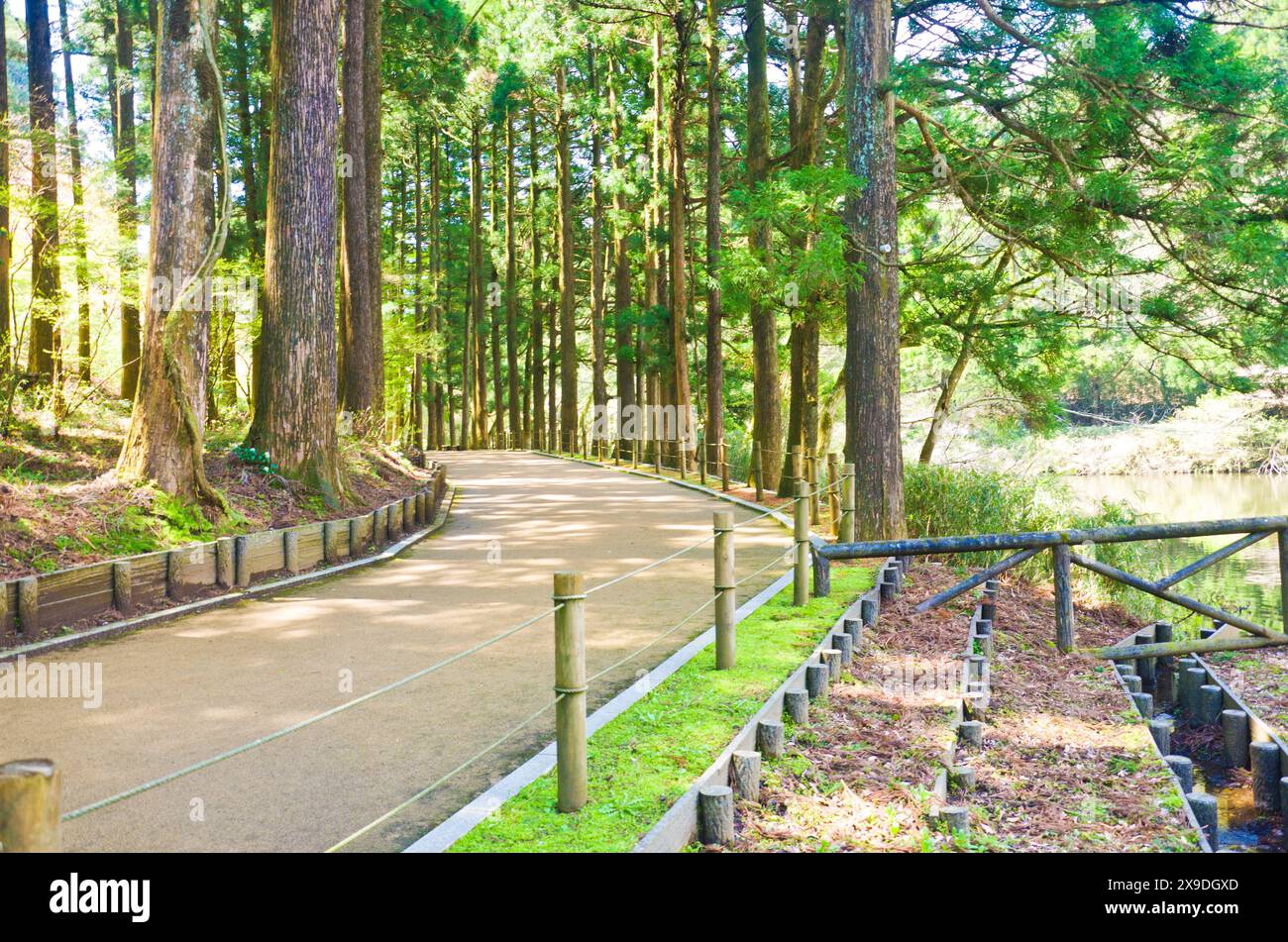 Hakone Nature trail around Lake Ashi in Hakone town, Kanagawa ...