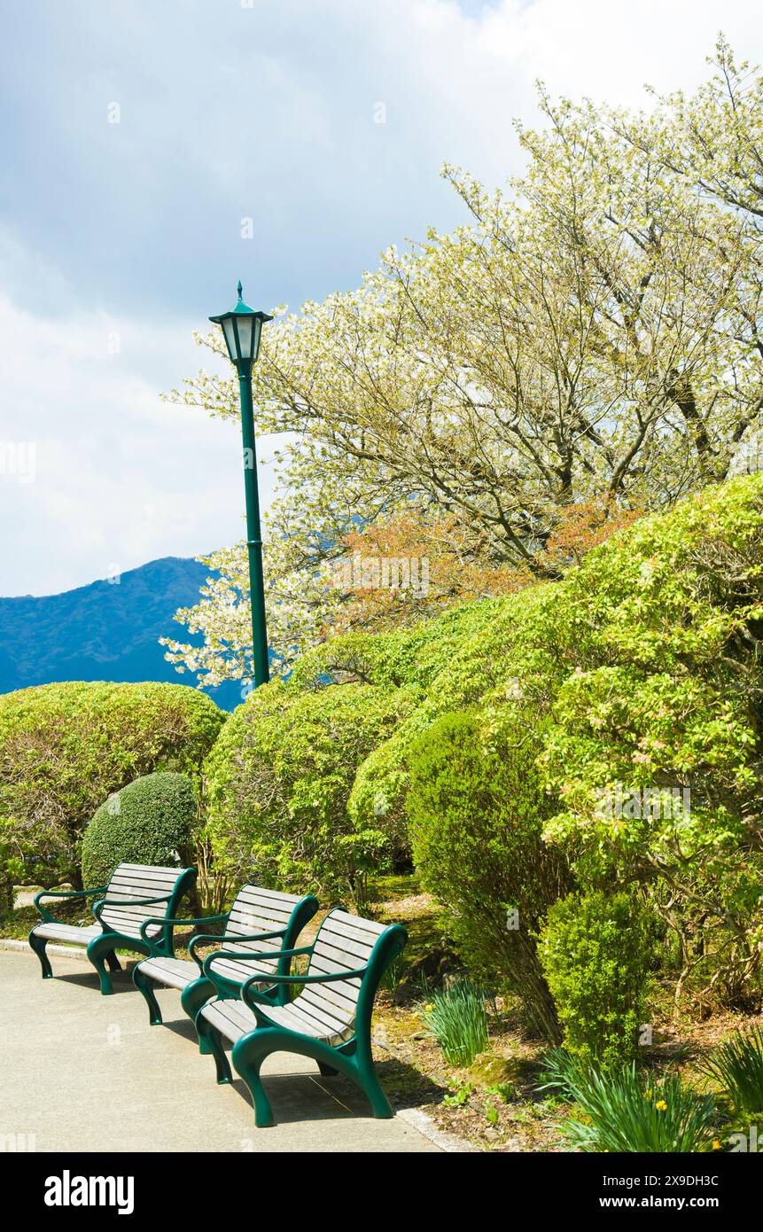 Hakone Nature trail around Lake Ashi in Hakone town, Kanagawa ...