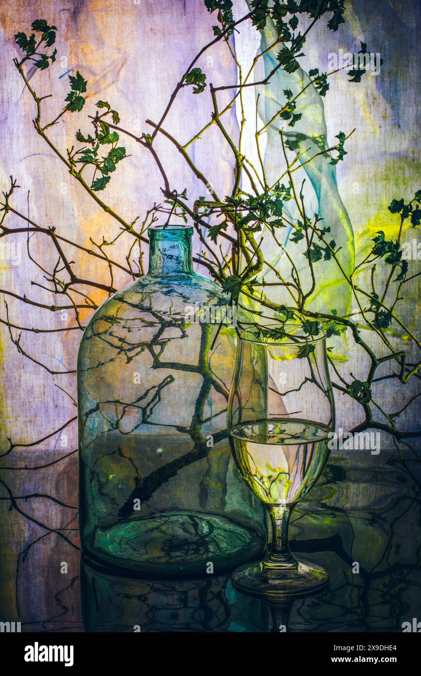 Still life with glassware and a plant branch Stock Photo - Alamy