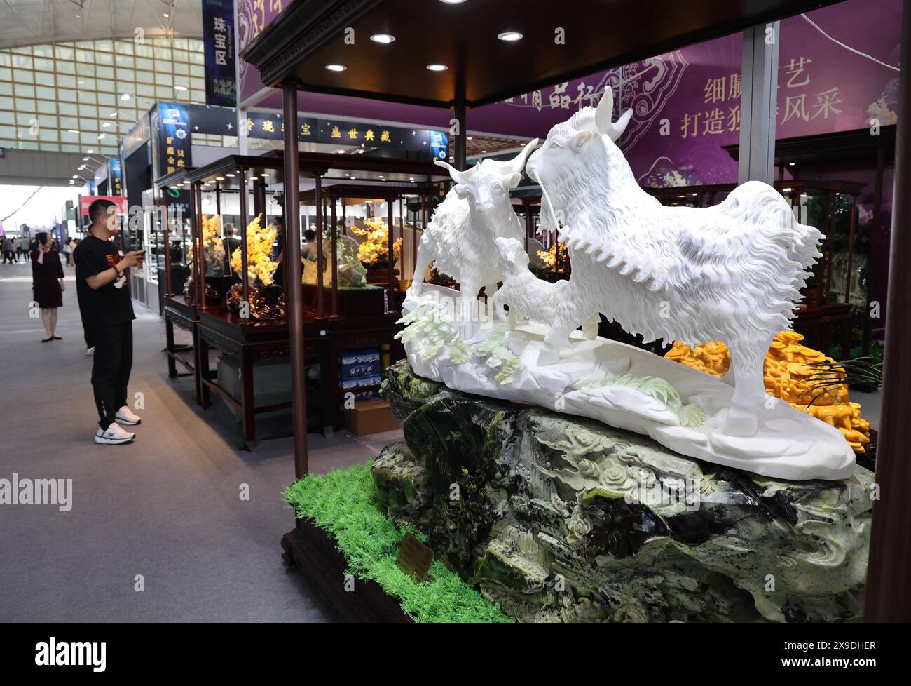 The 2nd China (Nanjing) International Mineral Gemstone & Fossil Expo ...