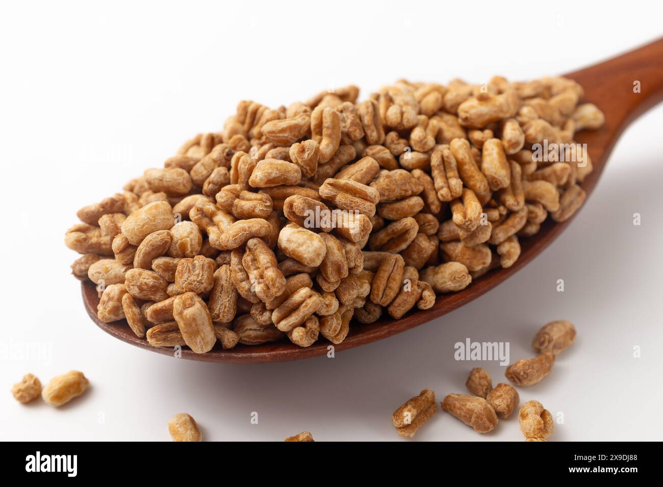 Roasted Khorasan Wheat. Nutty and crunchy grains. roasted grains Stock ...