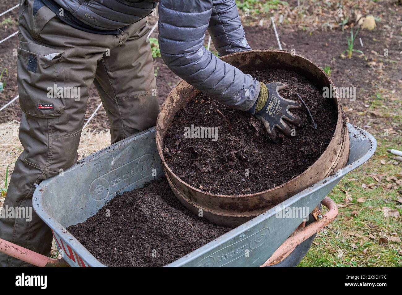 Garten Gemueseanbau Kompost Kompost wird fuer ein Gemuesebeet gesiebt ...