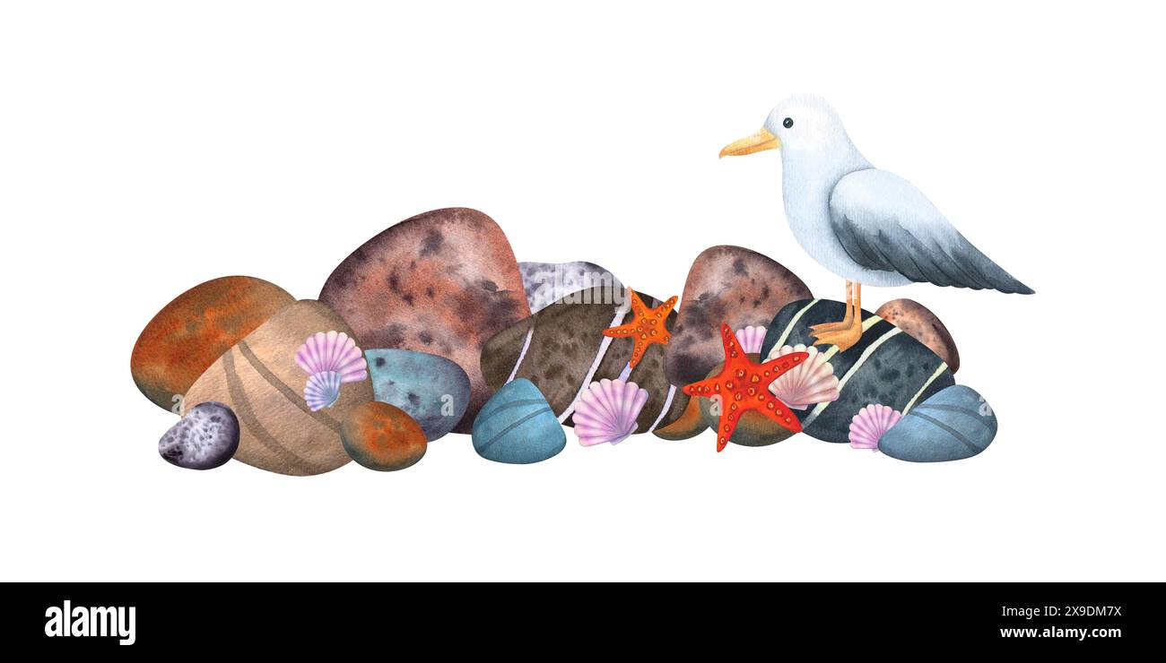 Stone shore with seagull, shells and starfish. The composition is hand ...