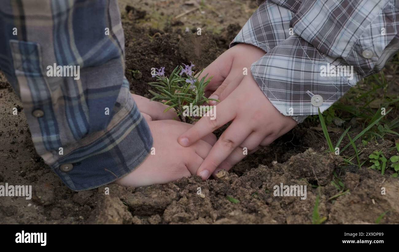 Boy planting a new tree, concept Save the Earth, save the world, save ...