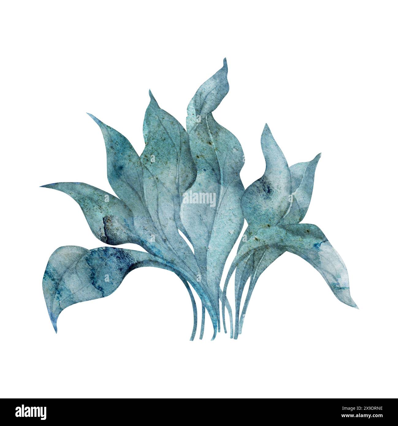 Watercolor and ink hand drawn marine life, sea ocean underwater ...