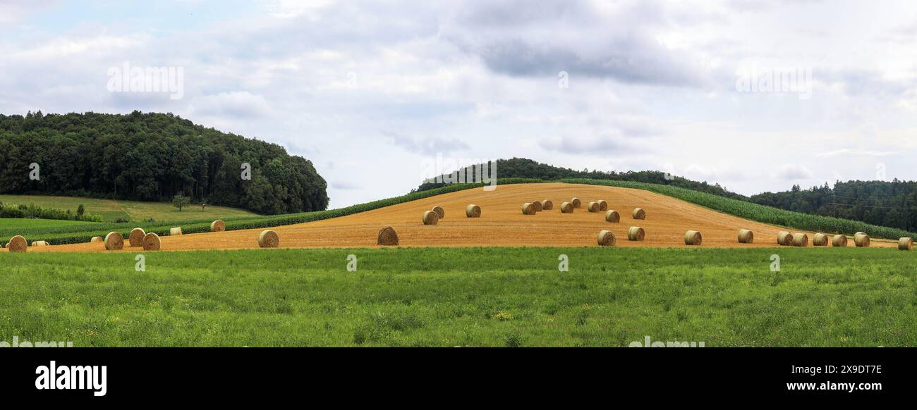 Farming fields on a hillside with harvested hay bales and other diverse ...