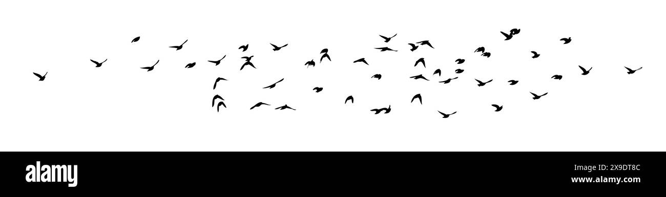 Flying birds silhouette flock. Not AI, Free birds abstraction ...