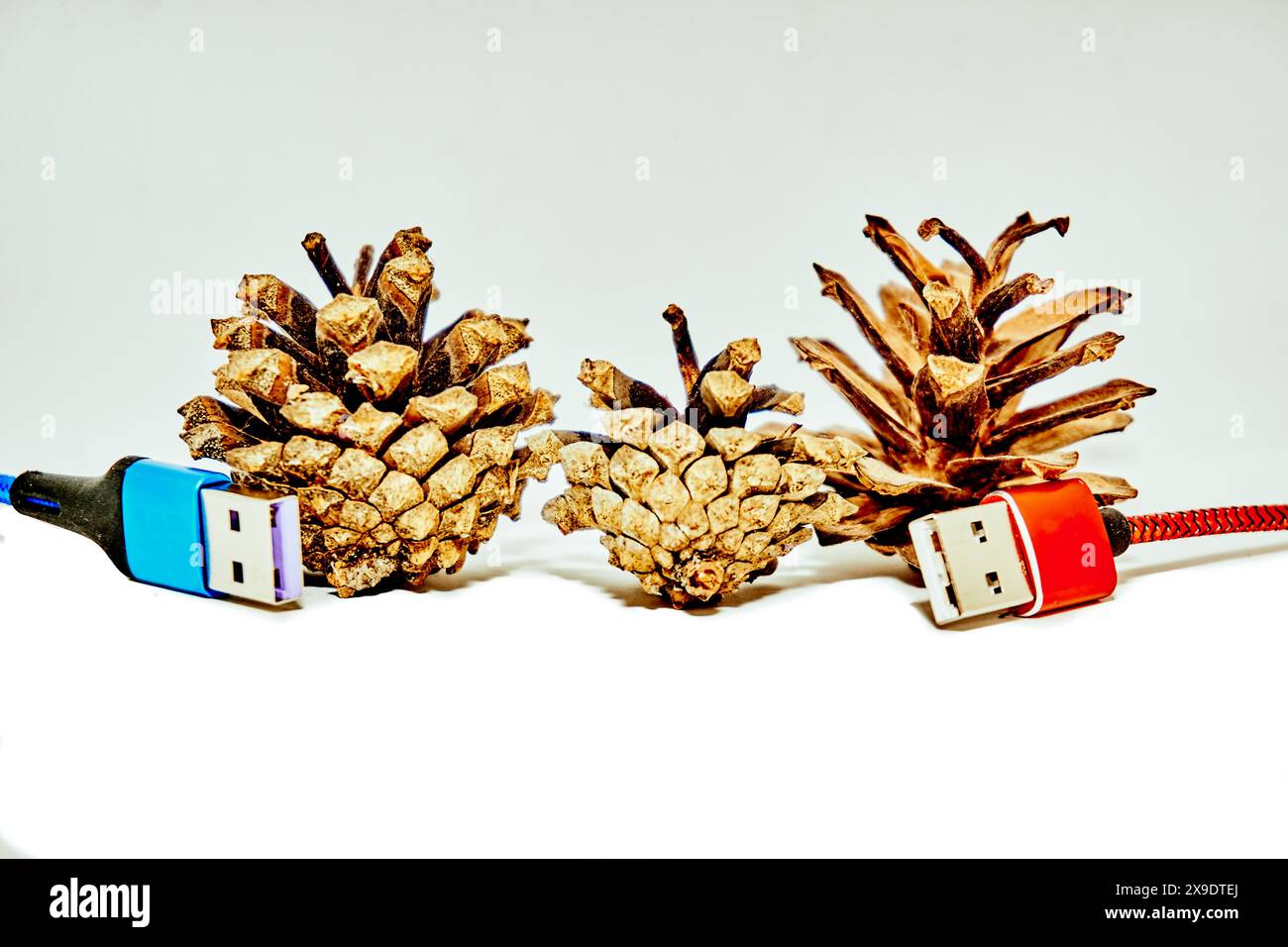 Connection information. Red and blue usb wires cables with pine cones Stock Photo - Alamy
