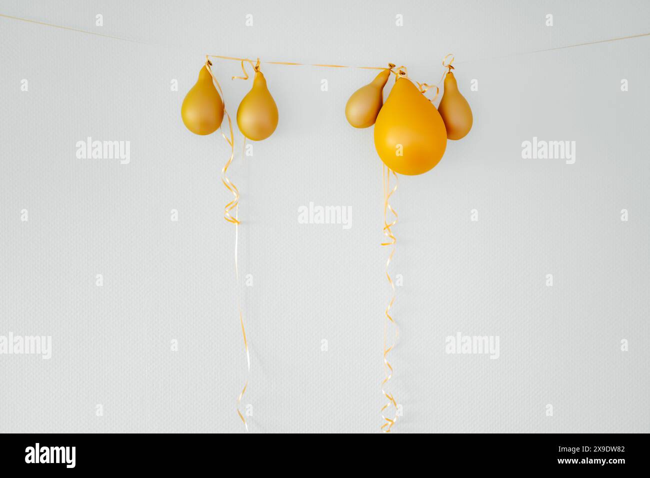 Deflated yellow balloons on golden string white background. After party ...