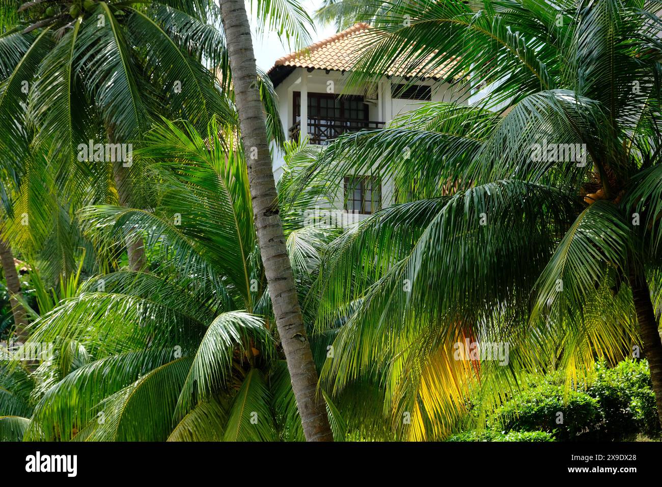 Batam Indonesia - idyllic house in Nongsa area Stock Photo - Alamy