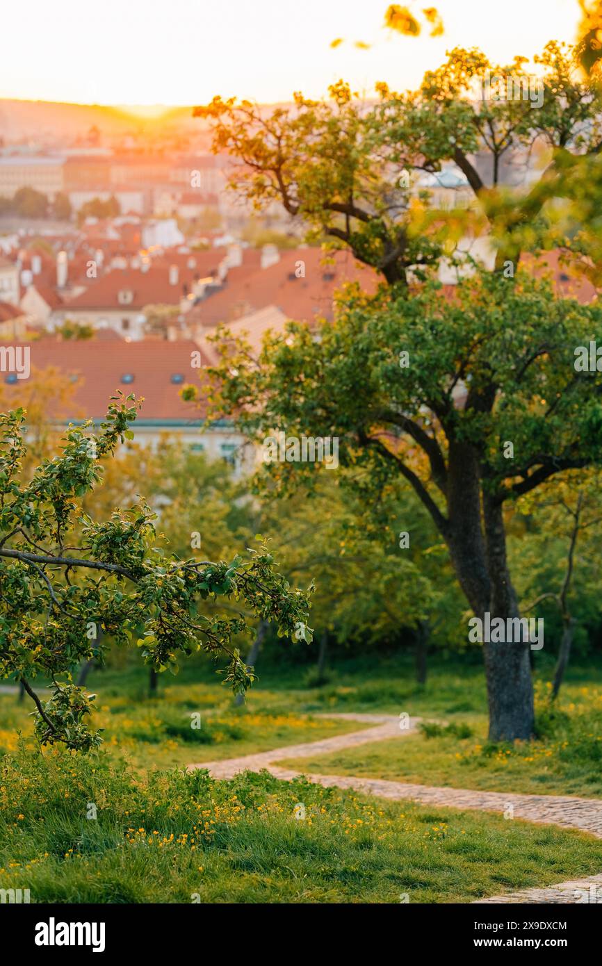 Narrow path in green hi-res stock photography and images - Alamy