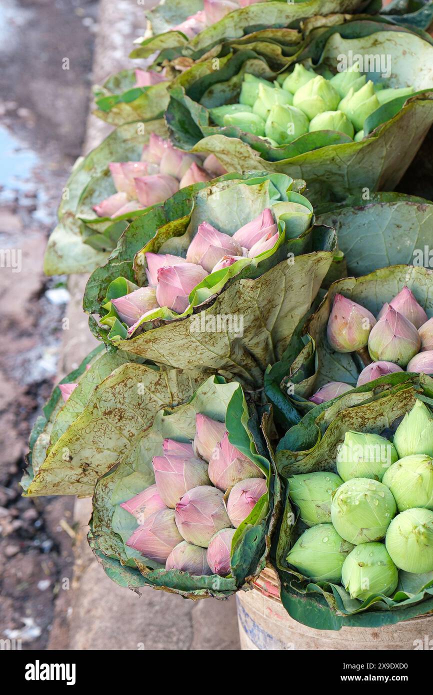Bouquets of flowers sit in buckets at an outdoor flower market Stock ...