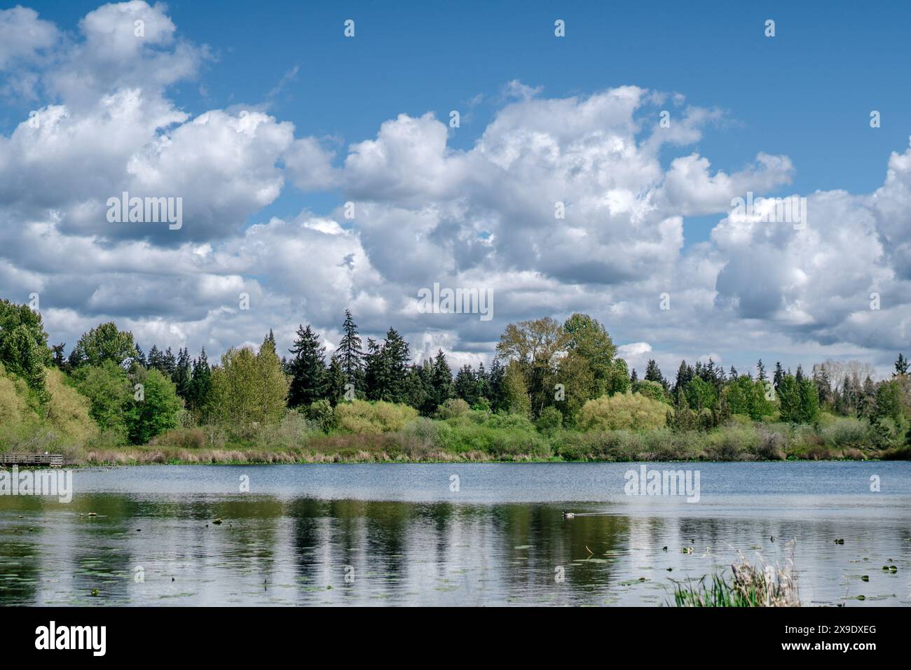 Larsen lake hi-res stock photography and images - Alamy