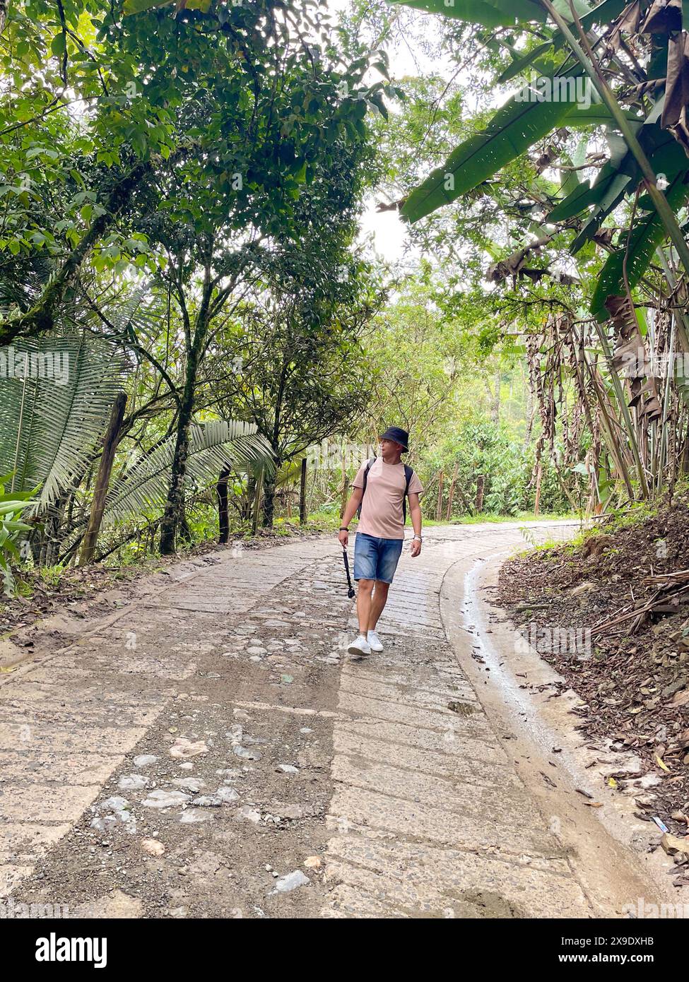 Man in casual attire walking along a rugged jungle path, carrying a ...