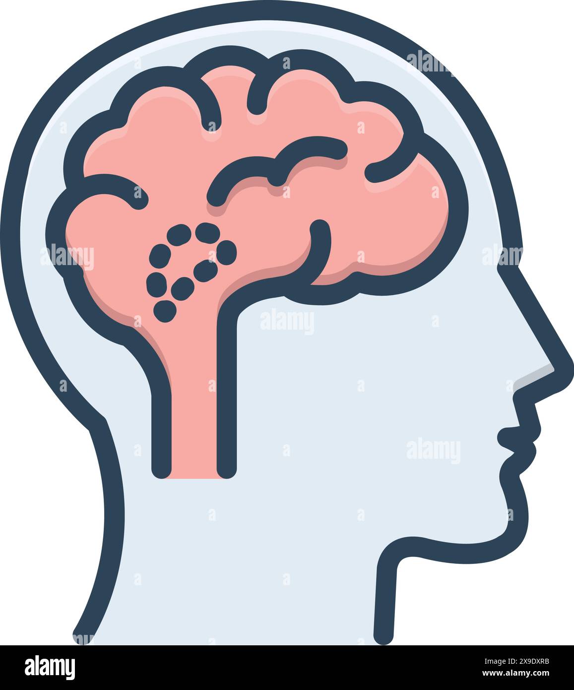 Icon for hypothalamus,endocrine Stock Vector Image & Art - Alamy