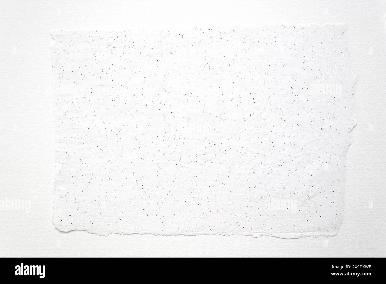 Top view of a piece of handmade rough-edged paper on a white watercolor ...