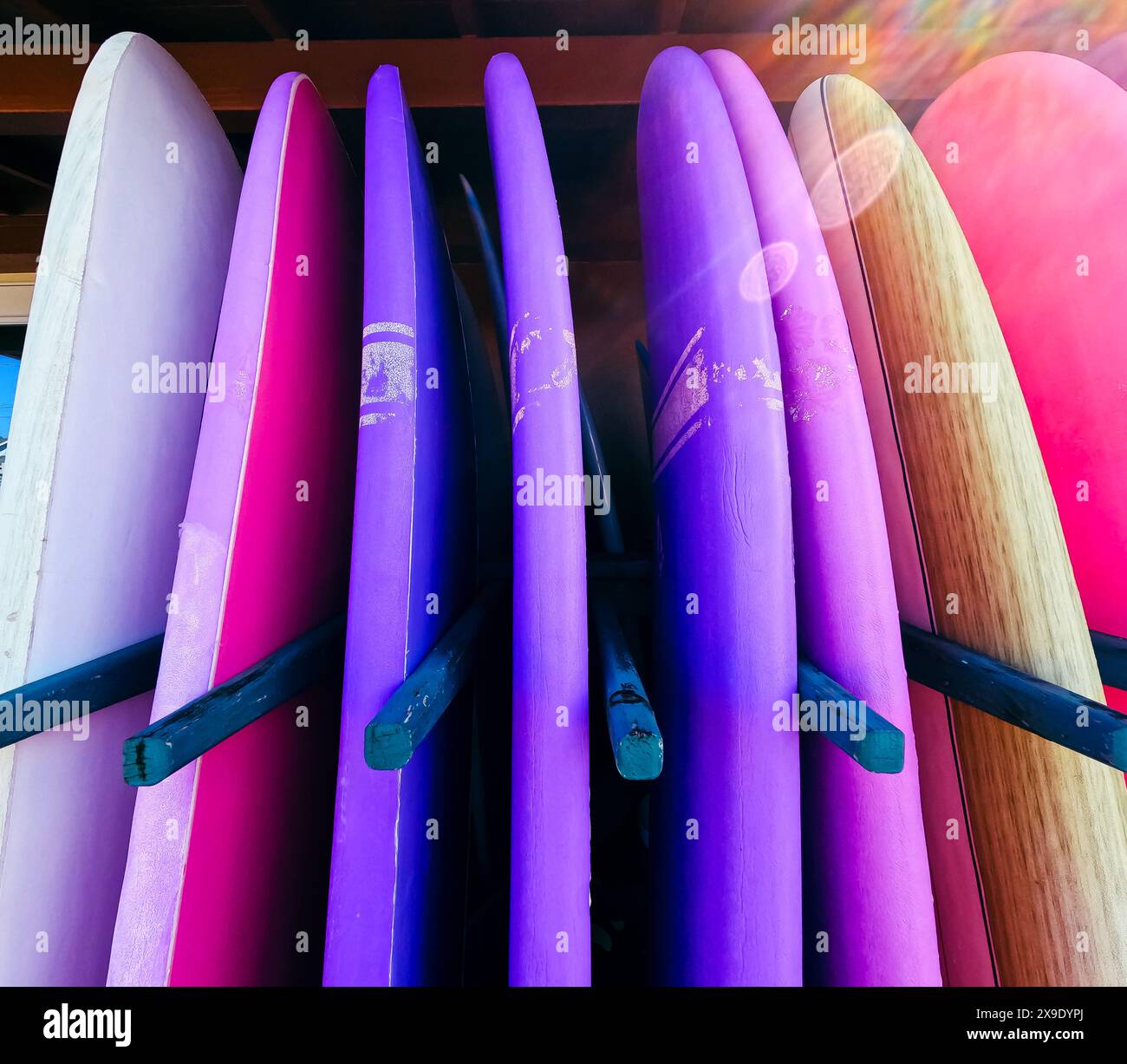 A close up of pink and purple surf boards with lens flare in the Stock ...