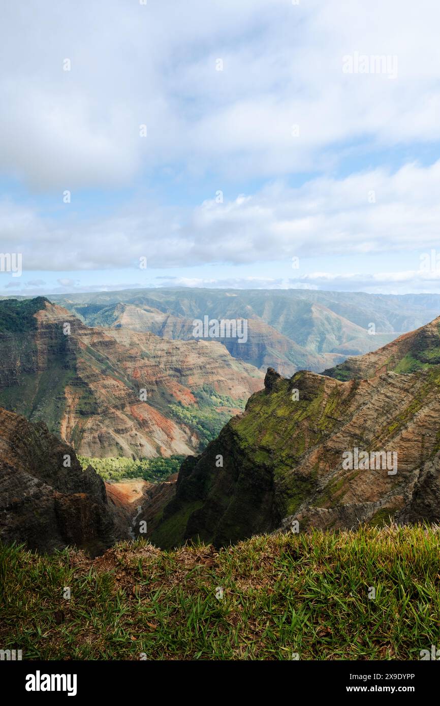 Vertical image overlooking a verdant canyon in Hawaii Stock Photo - Alamy