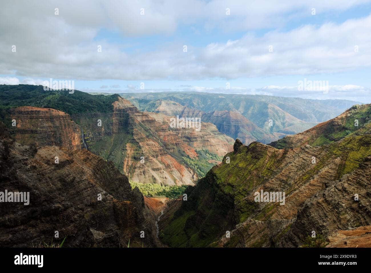 Horizontal landscape of a lush canyon with waterfall in the far Stock ...