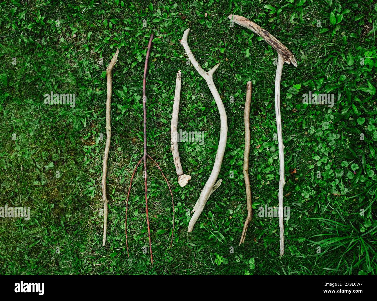 Assorted sticks arranged by a child during Nature Play Stock Photo - Alamy