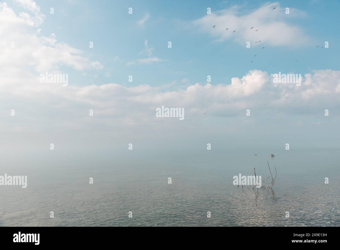 Calm lake, blue sky, scattered clouds, and distant birds flying Stock ...