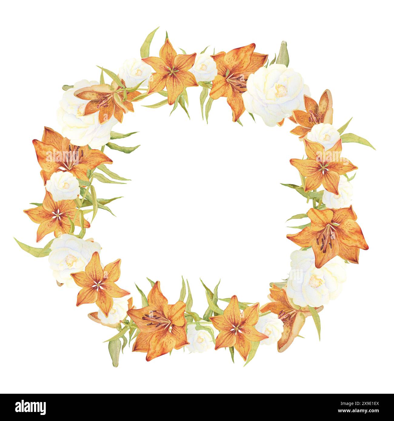 Frame of orange lilies. Watercolor illustration. Set of plant elements ...