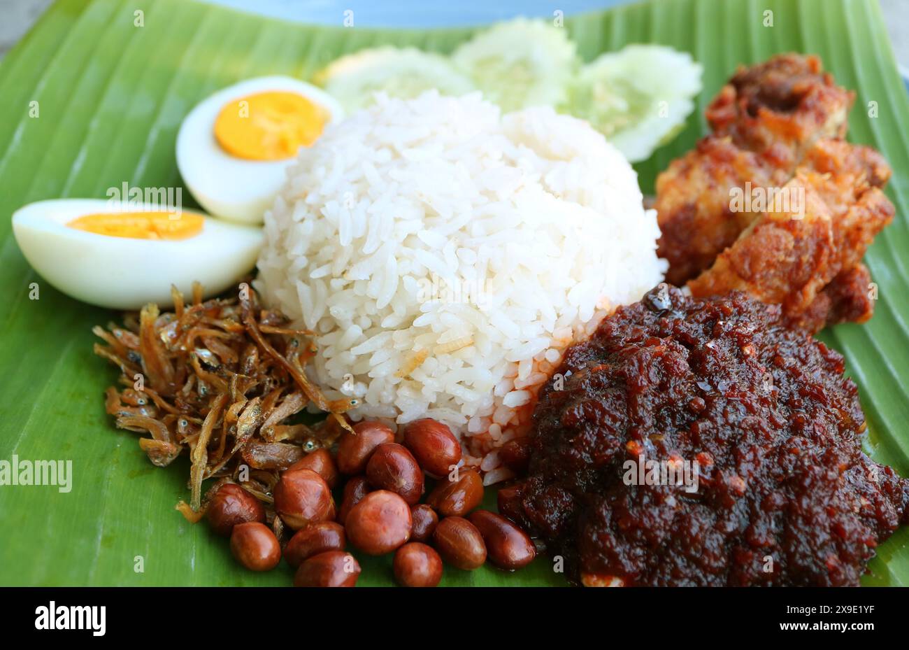 Rice Cooked with Coconut Milk and Sambal Chili Paste, Main Components ...