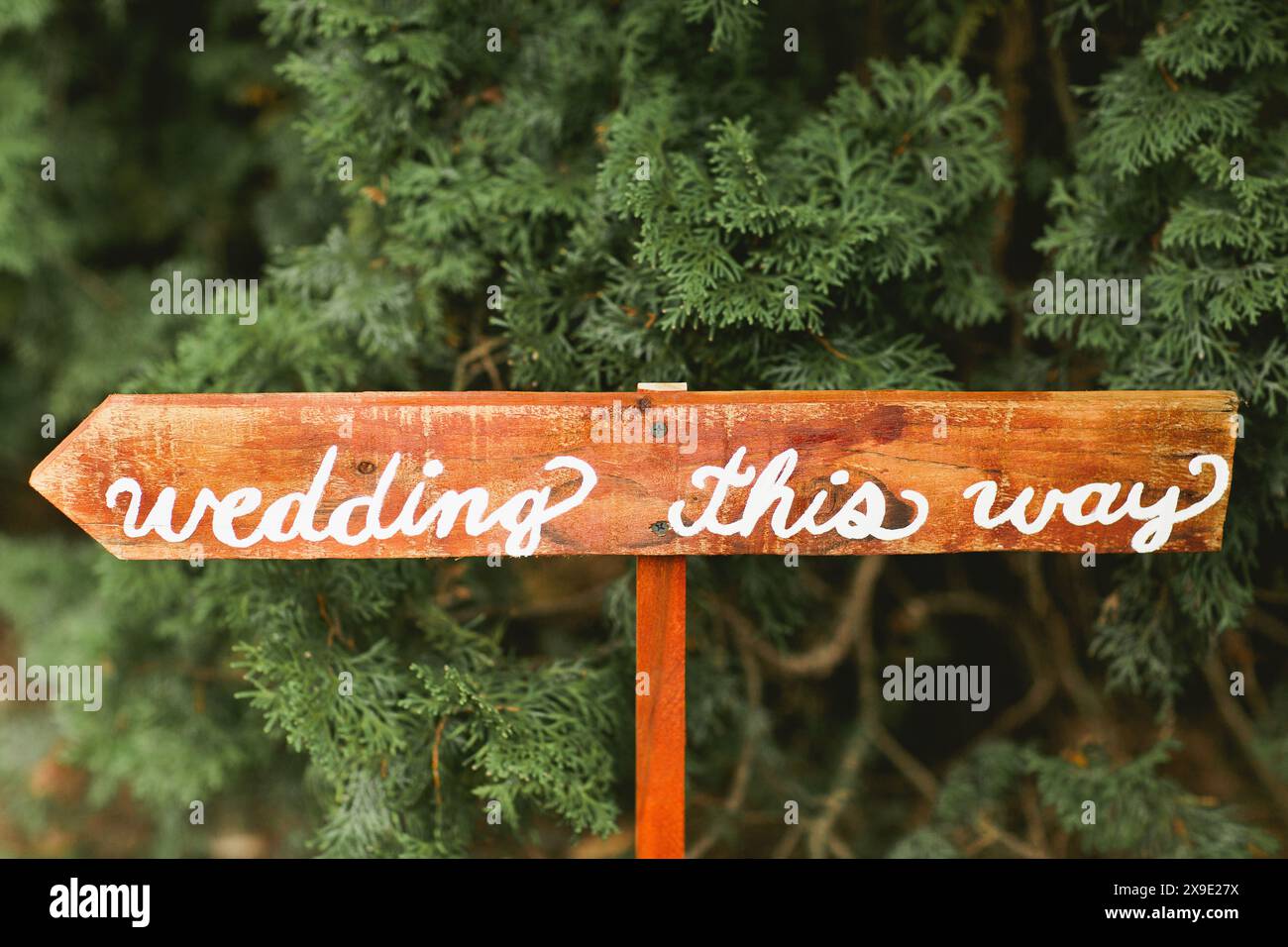 Wedding this way wooden handwritten cursive sign Stock Photo - Alamy