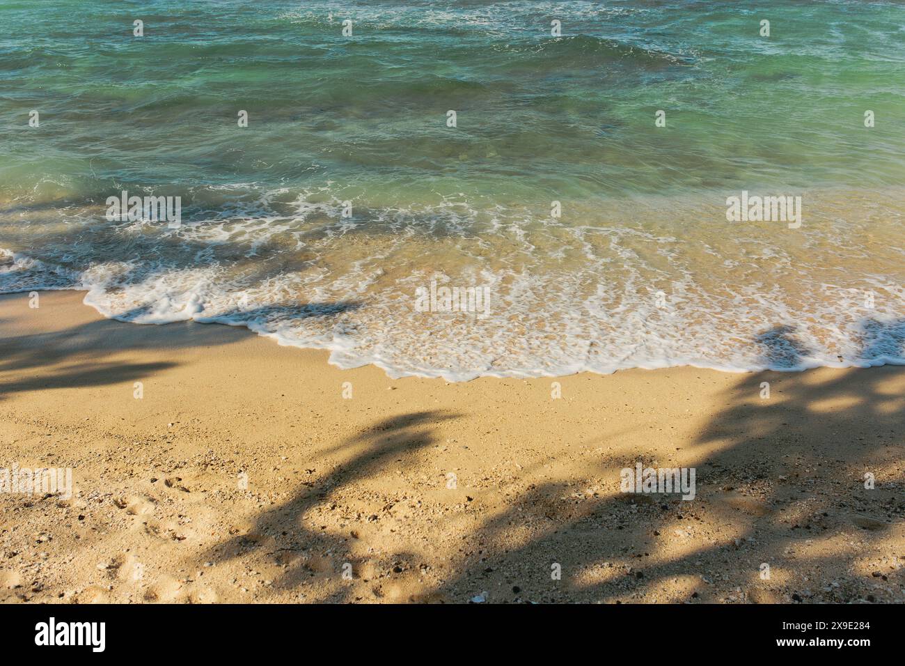 Tropical blue ocean water washes on beach shore line sands Stock Photo ...
