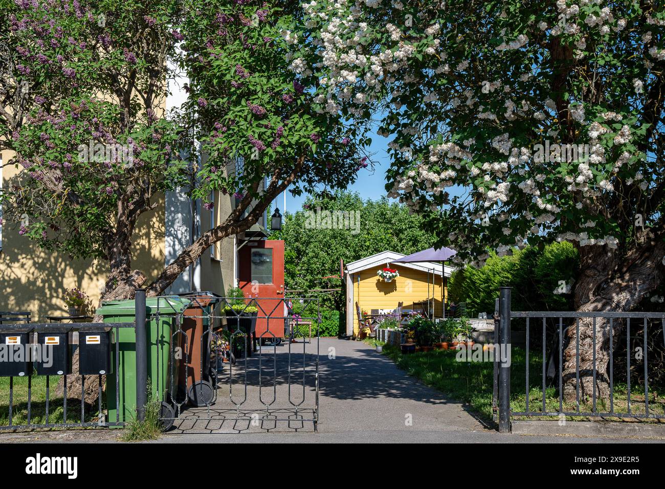 Blooming gardens and traditional townhouses adjacent to the Red Town ...