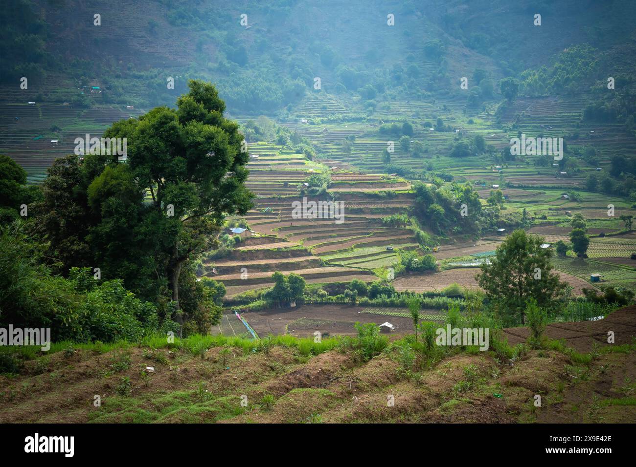 Vattavada is a village in Idukki district in the state of Kerala ...