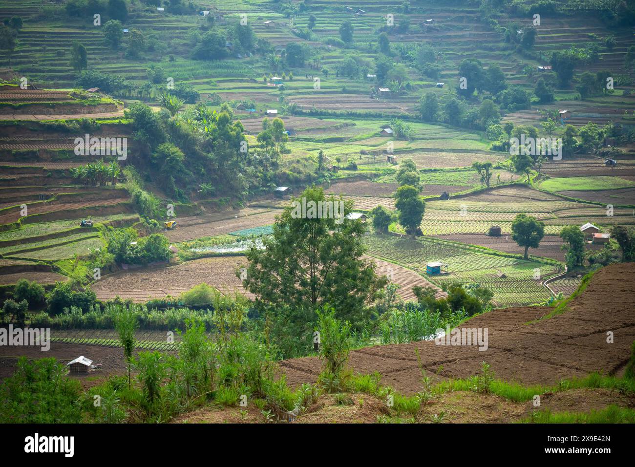Vattavada is a village in Idukki district in the state of Kerala ...