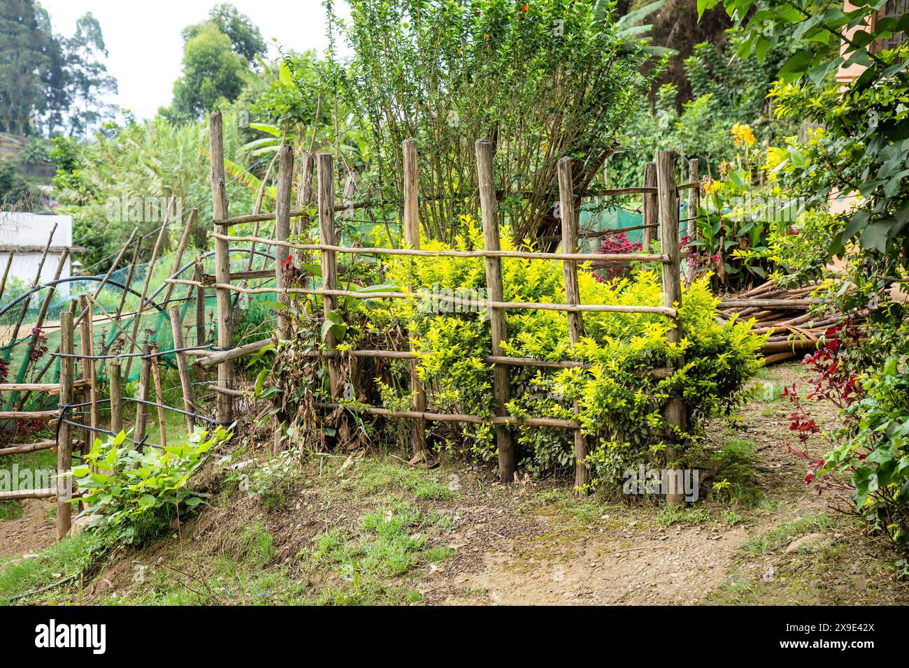 Vattavada is a village in Idukki district in the state of Kerala ...