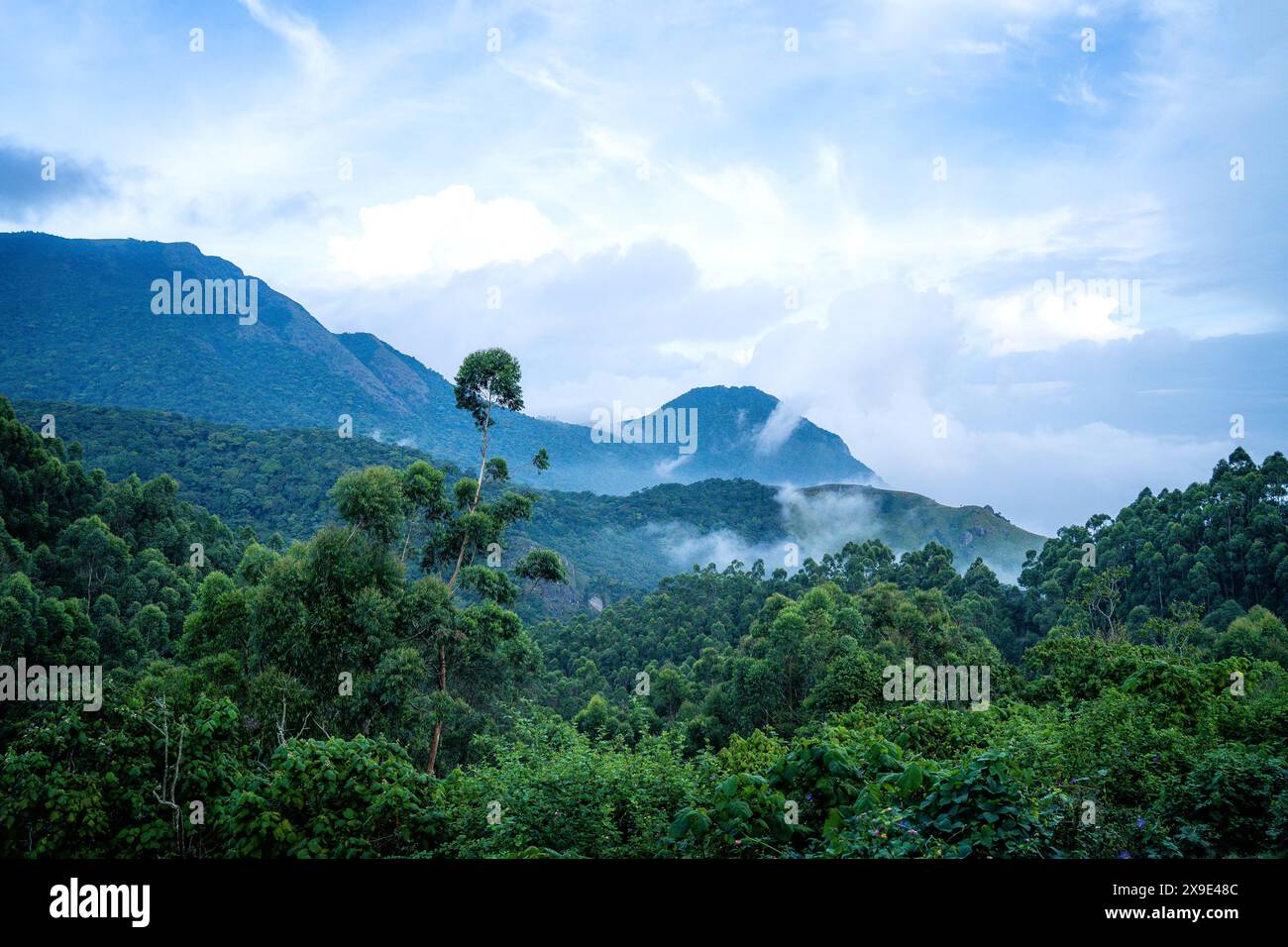 Top Station, located in Munnar, is the highest point, The place falls ...