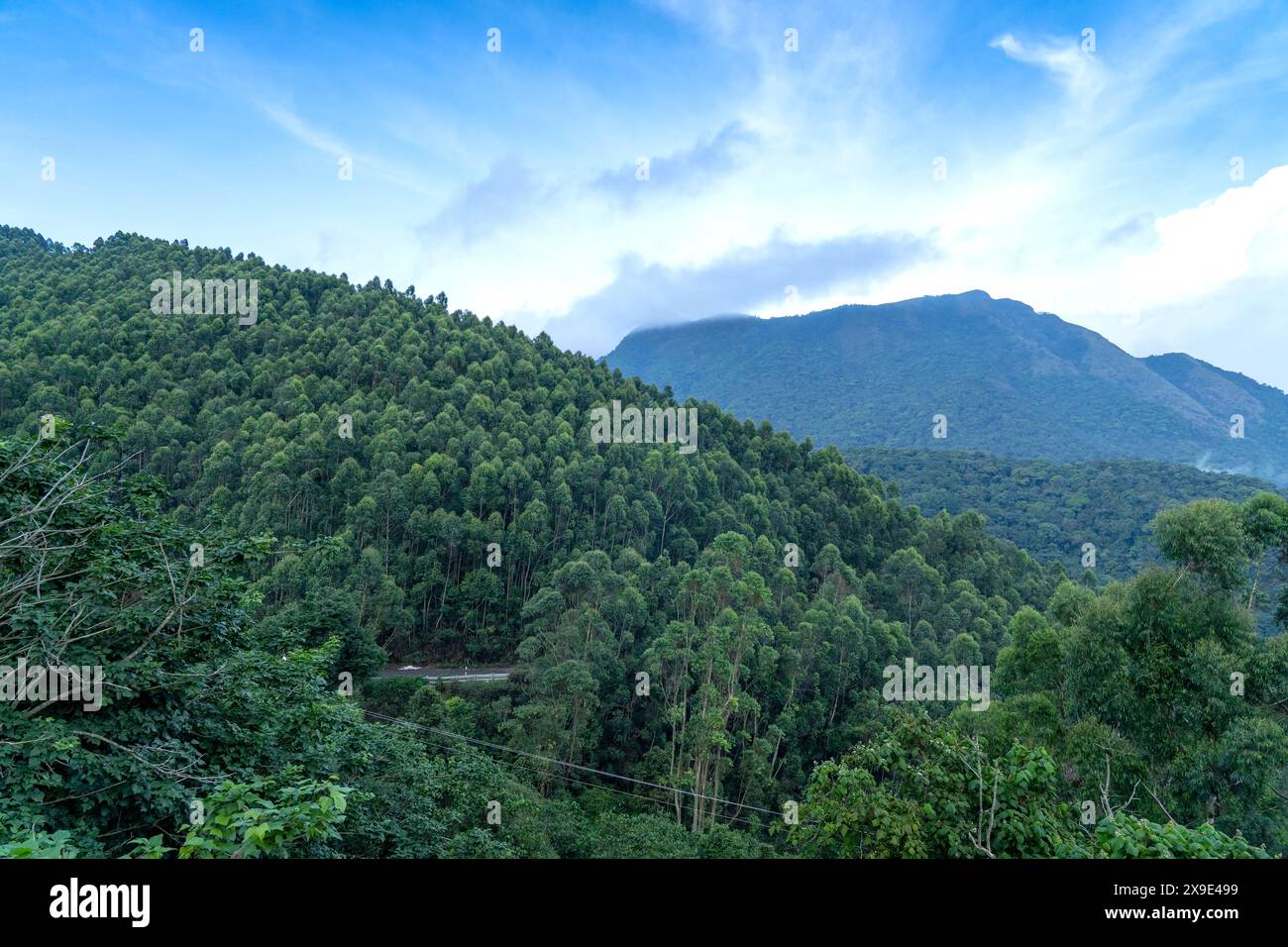 Top Station, located in Munnar, is the highest point, The place falls ...