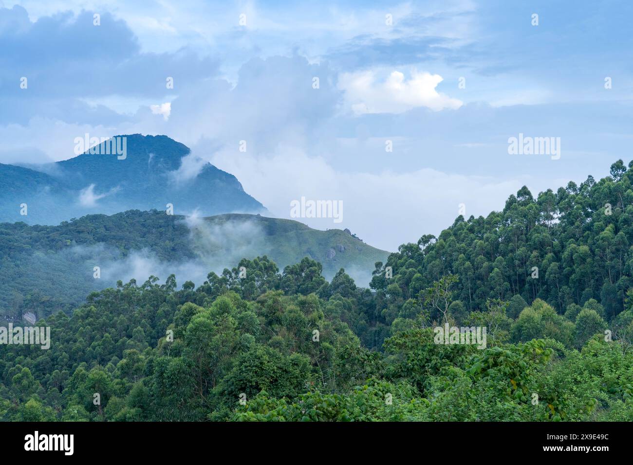 Top Station, located in Munnar, is the highest point, The place falls ...