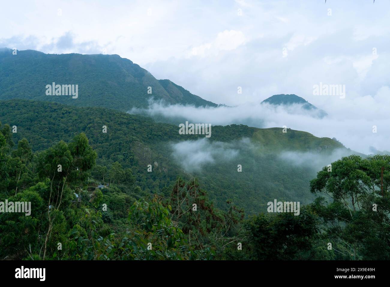 Top Station, located in Munnar, is the highest point, The place falls ...