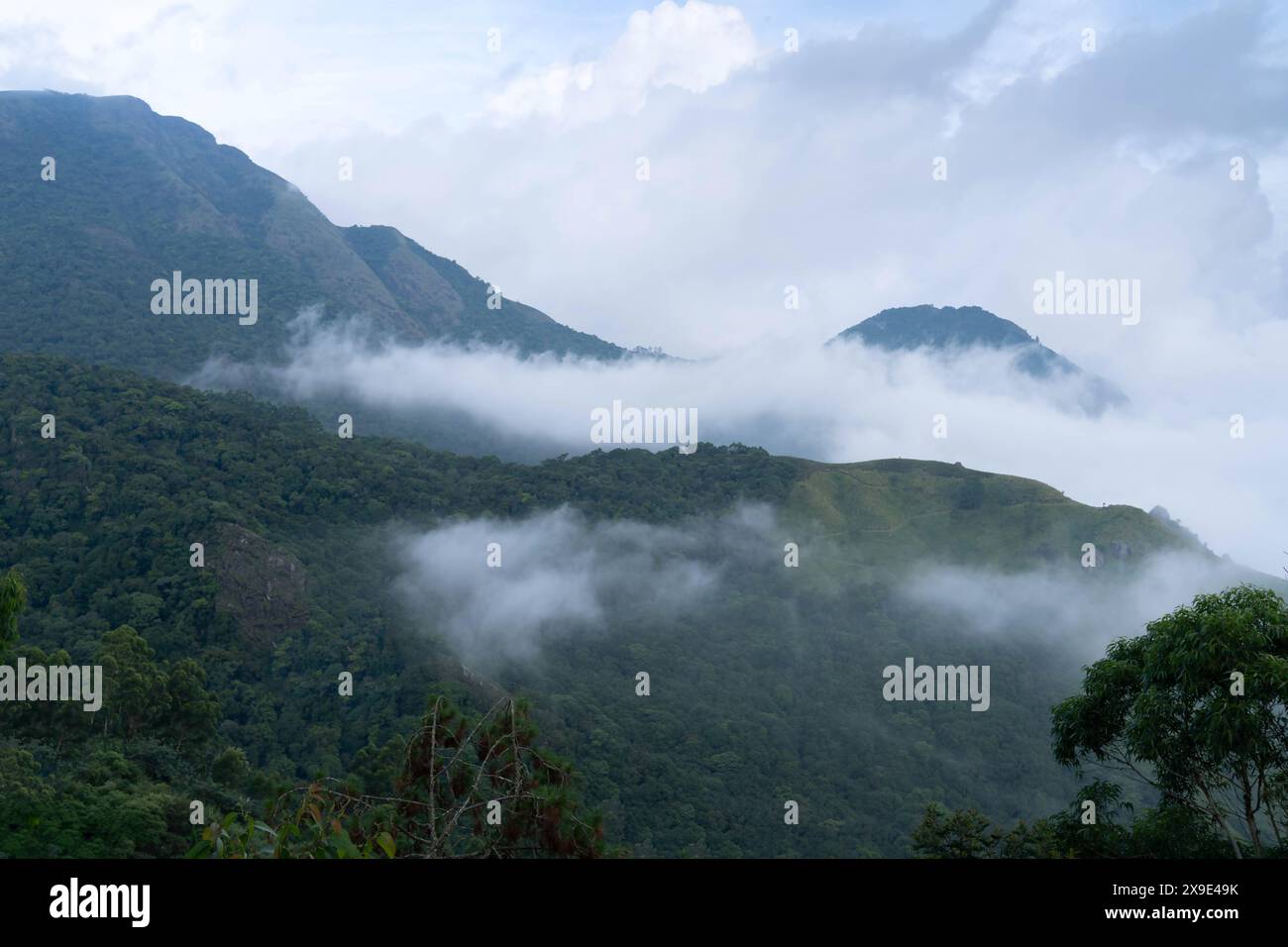Top Station, located in Munnar, is the highest point, The place falls ...