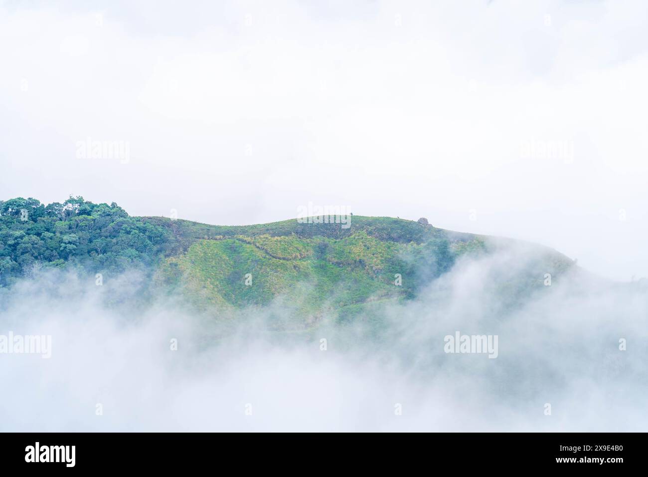Top Station, located in Munnar, is the highest point, The place falls ...
